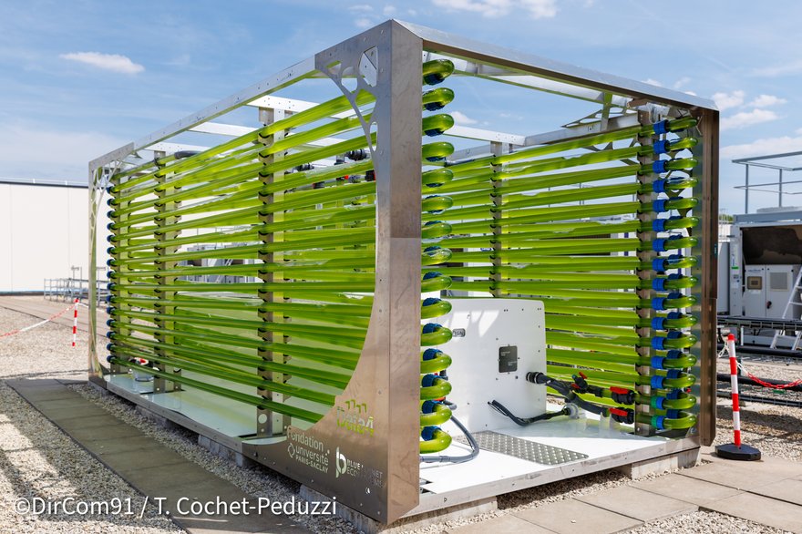 Data4 unveils system that uses data center waste heat to grow algae ...
